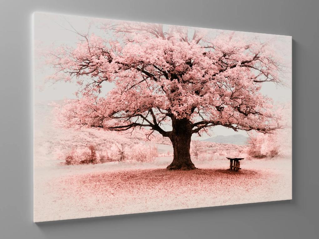 Liox Obraz růžový strom Rozměr: 150 x 100 cm