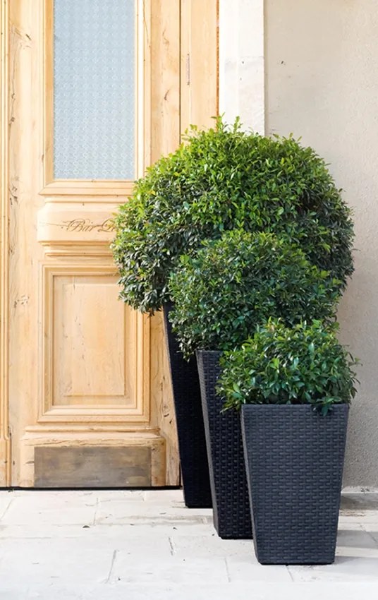 KETER - květináč Rattan Planter M, antracit