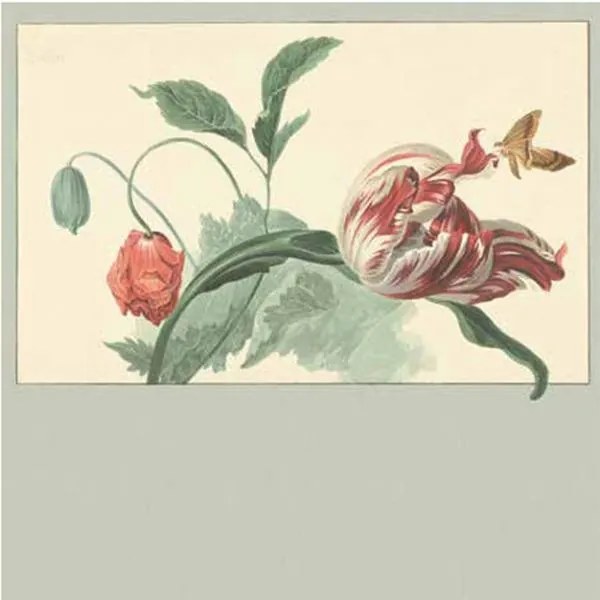 Vliesová obrazová tapeta s květinami, 358119, Masterpiece, Eijffinger