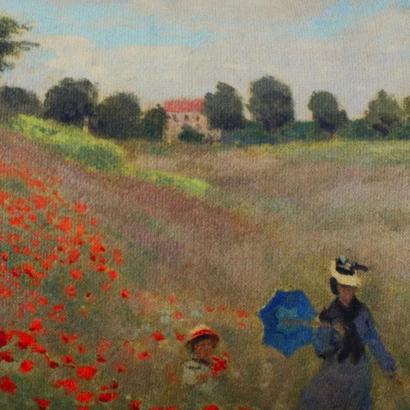 SCANquilt povlak ART VELVET monet-pole vlčích máků zelenočervená 30 x 50 cm