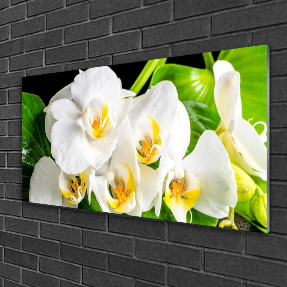 Obraz na skle Orchidej Květiny Příroda 125x50 cm