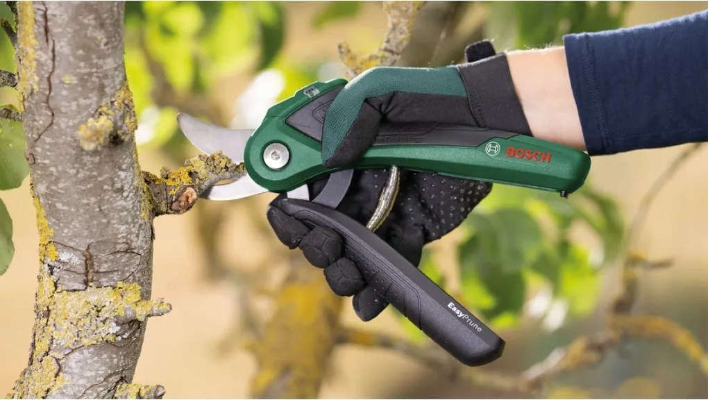 Bosch EasyPrune 0.600.8B2.102