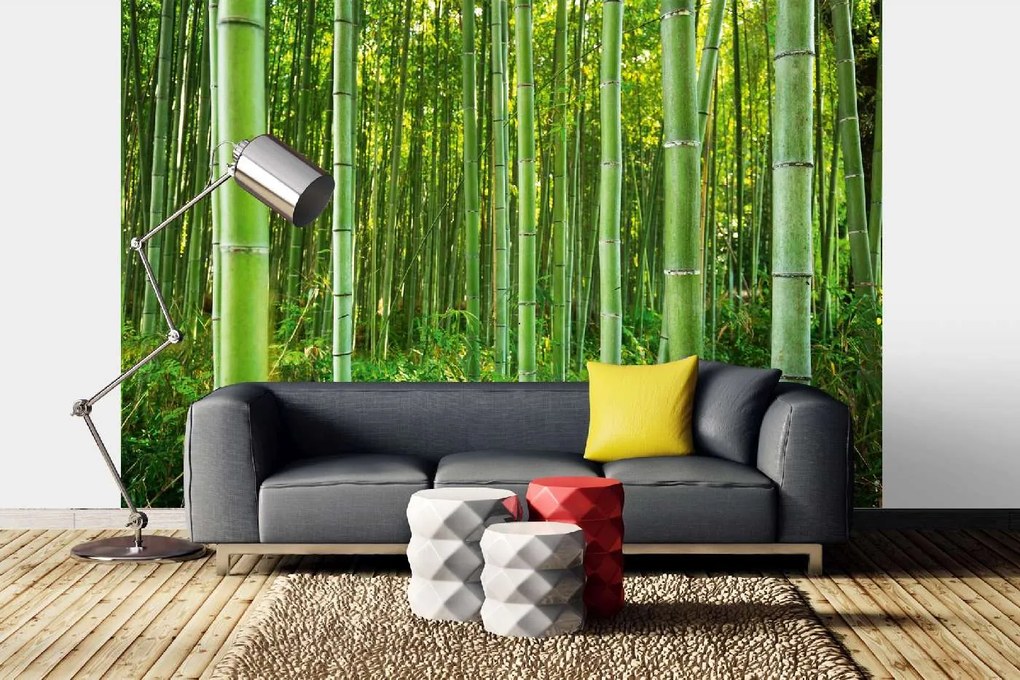 DIMEX | Samolepicí vliesová fototapeta na zeď Bambusový les MA-5-1582 | 375 x 250 cm | zelená