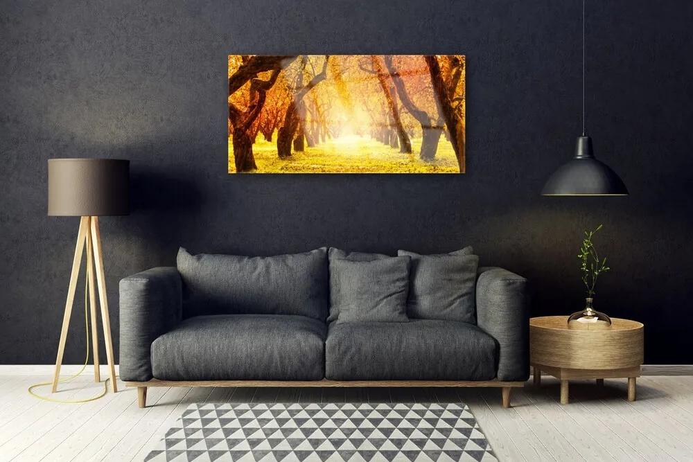 Obraz na skle Les Stezka Stromy Příroda 120x60 cm