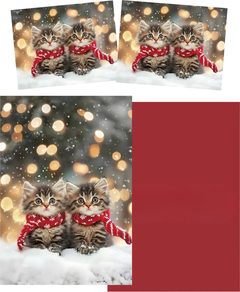 3D povlečení z mikrovlákna SNOWY PAWS barevné Rozměr povlečení: 70 x 90 cm | 140 x 200 cm