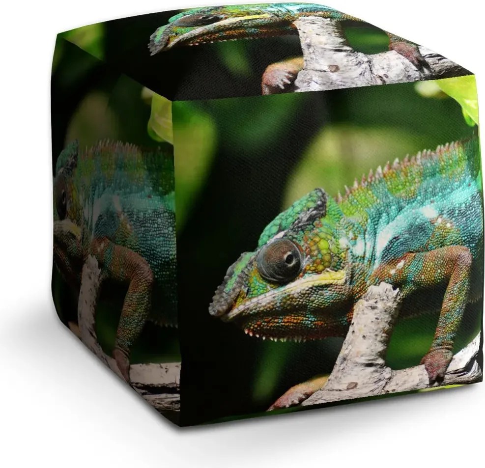 Sablio Taburet Cube Chameleon - 60x60x60 cm