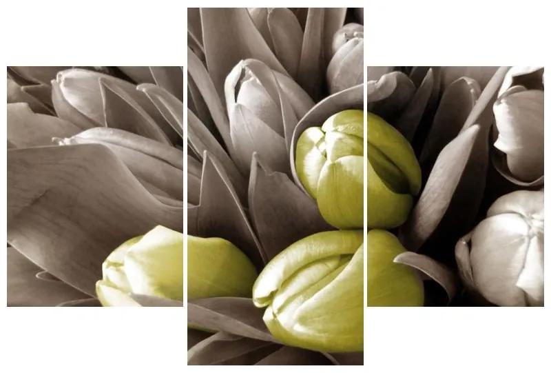 Obraz tří žlutozelených tulipánů  (90x60 cm), 40 dalších rozměrů