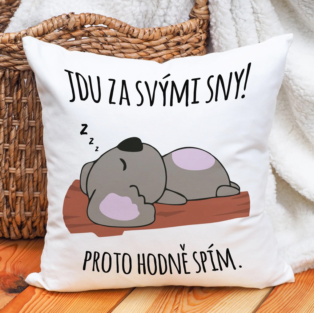 Ahome Polštář Jdu za svými sny! Hodně spím. 37 x 37 cm