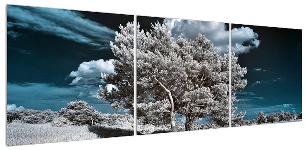 Obraz sněhobílého stromu (150x50 cm)