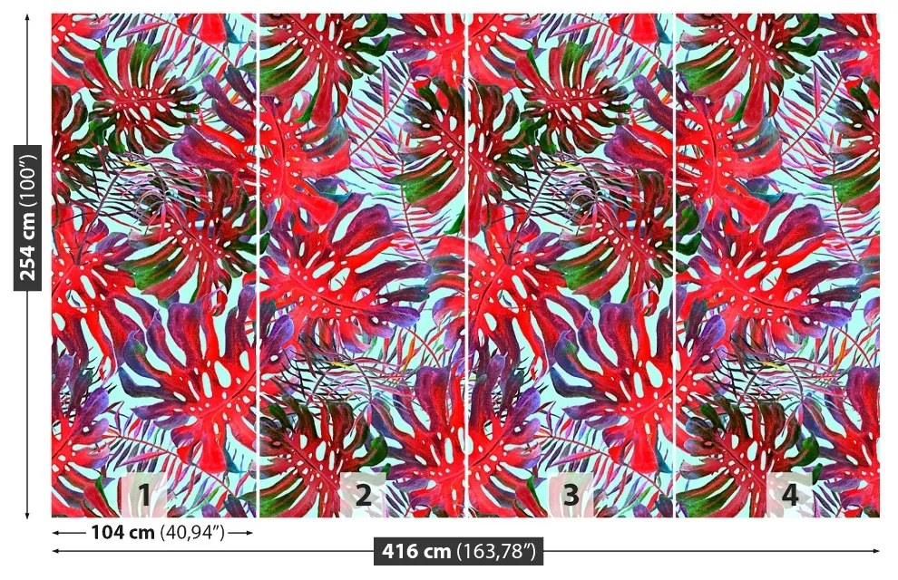 Fototapeta Monstera děravá 104x70