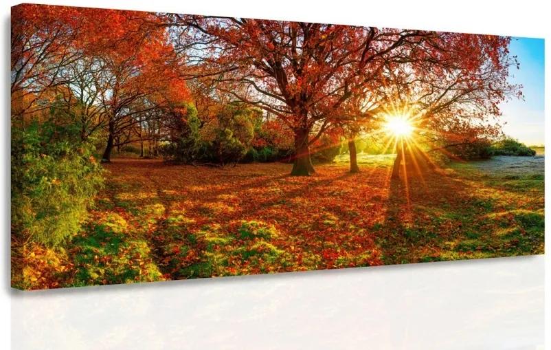 Malvis Malvis Obraz - Podzimní slunce  120x60 cm
