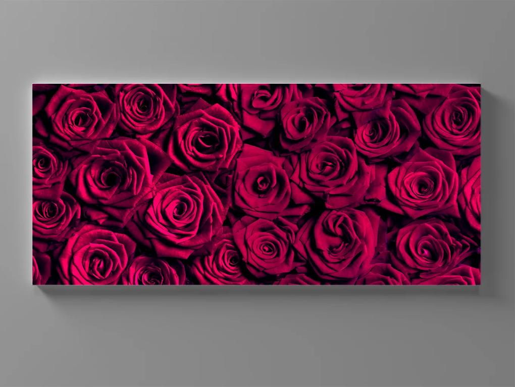 Liox Obraz červené růže Rozměr: 60 x 25 cm