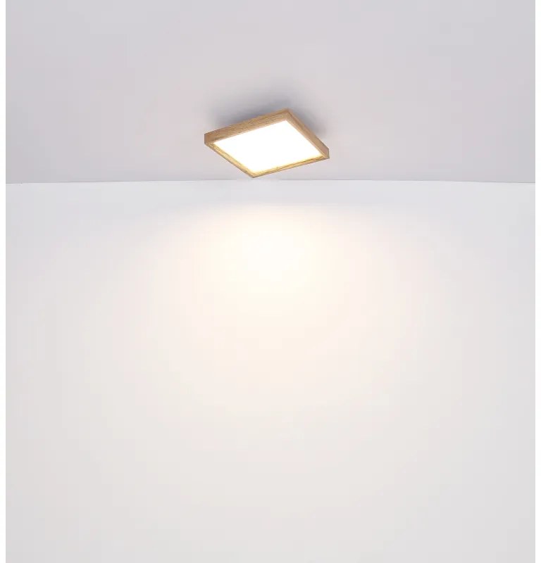 CINDERELLA 41595D3