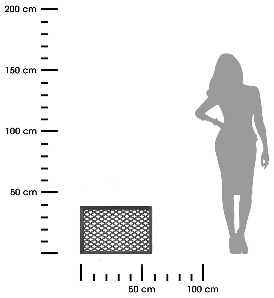 Venkovní rohožka Sami, 60x40 cm