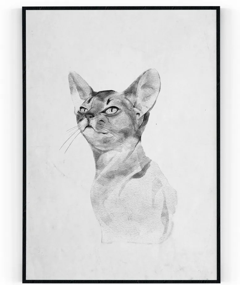 Plakát / Obraz Sphynx Samolepící plátno A4 - 21 x 29,7 cm