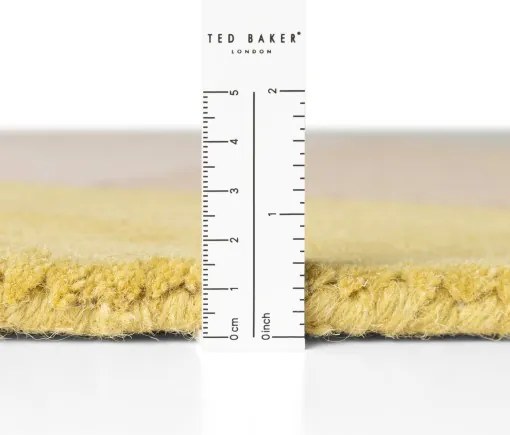 Koberec Ted Baker Westminster Piccadilly krémový / vícebarevný kruh