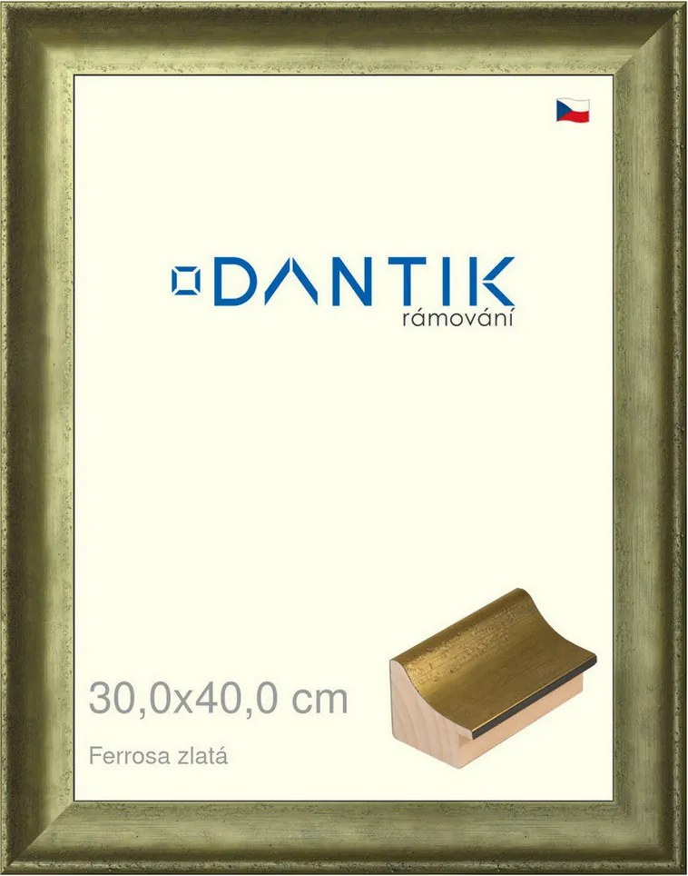 DANTIK rámeček 30x40 | Ferrosa zlatá (Plexi Čiré)