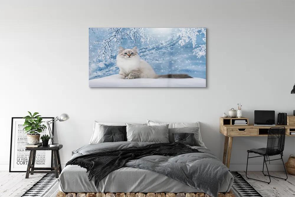 akrylový obraz kočka zima 140x70 cm