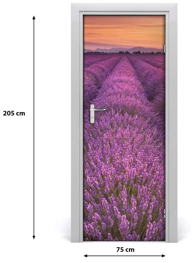 Fototapeta na dveře samolepící pole levandule 75x205 cm