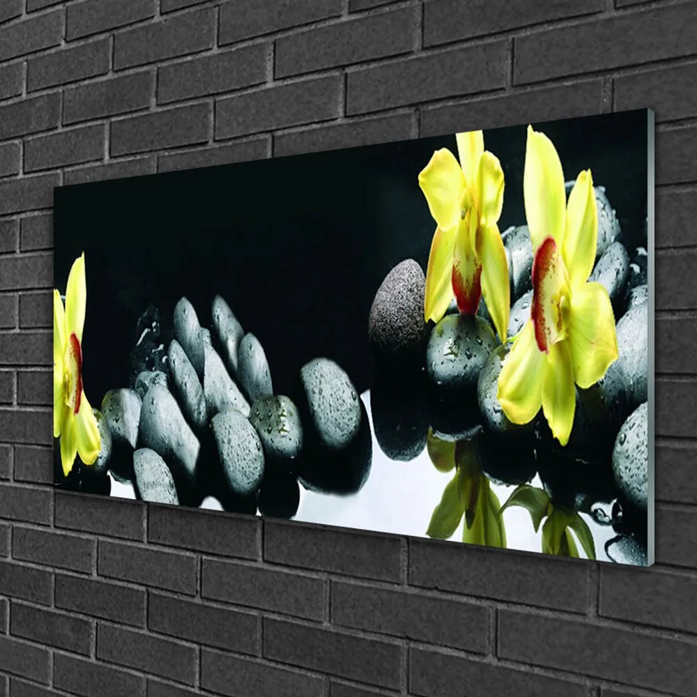 Obraz na skle Květ Kameny 100x50 cm