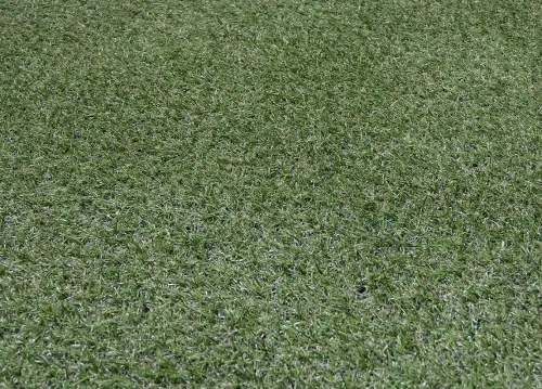 Koberce Breno  Umělá tráva PRADO, šíře role 200 cm, Zelená