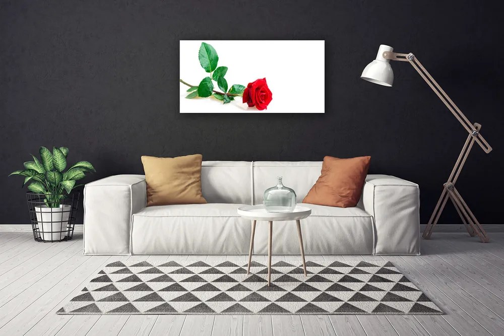 Obraz na plátně Růže Květ Rostlina 140x70 cm
