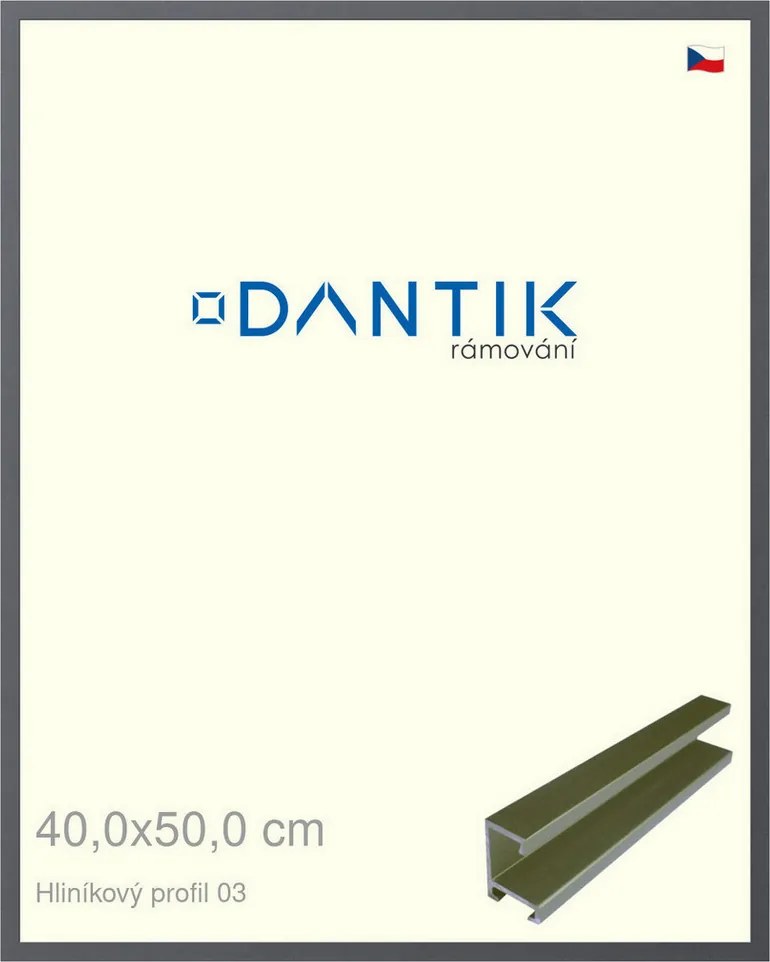 DANTIK rámeček 40x50 | ALU profil 7003 Platina matná (Sklo Čiré)