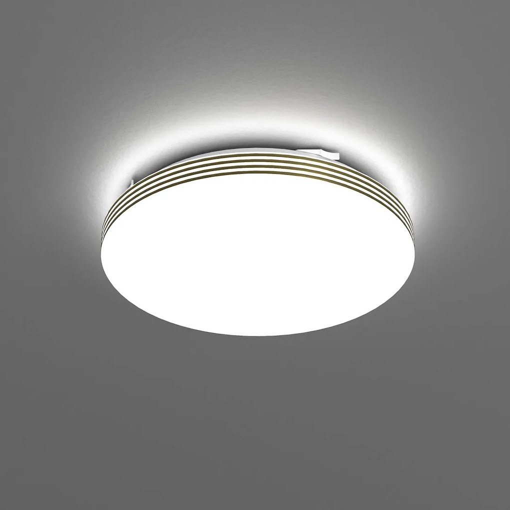 Stropní LED svítidlo Bever, 1x LED 10w, 4000k, g