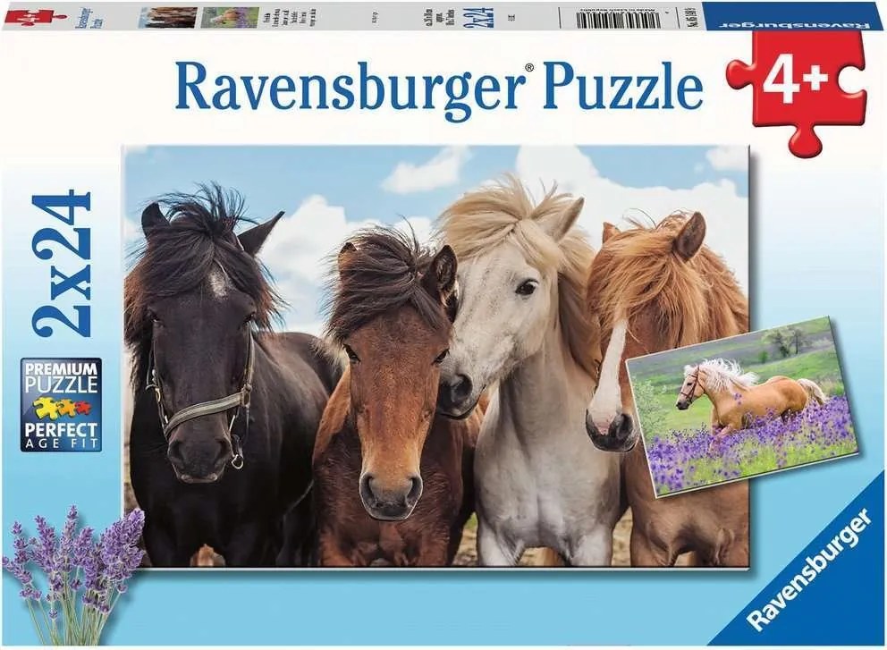Ravensburger 05148 fotky koní 2x24 dílků