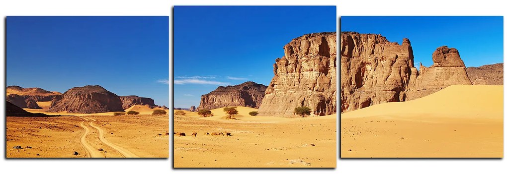 Obraz na plátně - Silnice v poušti - panoráma 5129D (150x50 cm)