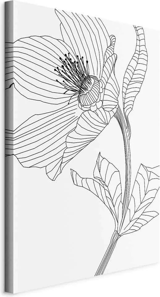 XXXLutz MALBA NA PLÁTNĚ, abstraktní, květiny, 40/60/1,2 cm artgeist - Online Only dekorace - 004875040601