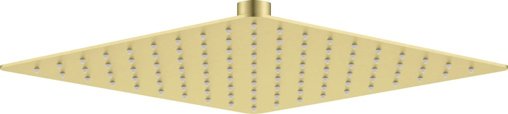 Deante Shower head, steel - 250x250 mm