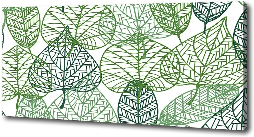 Moderní obraz canvas na rámu Zelené listí vzor