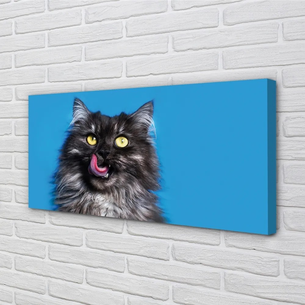 Obrazy na plátně Oblizujący kočka 125x50 cm