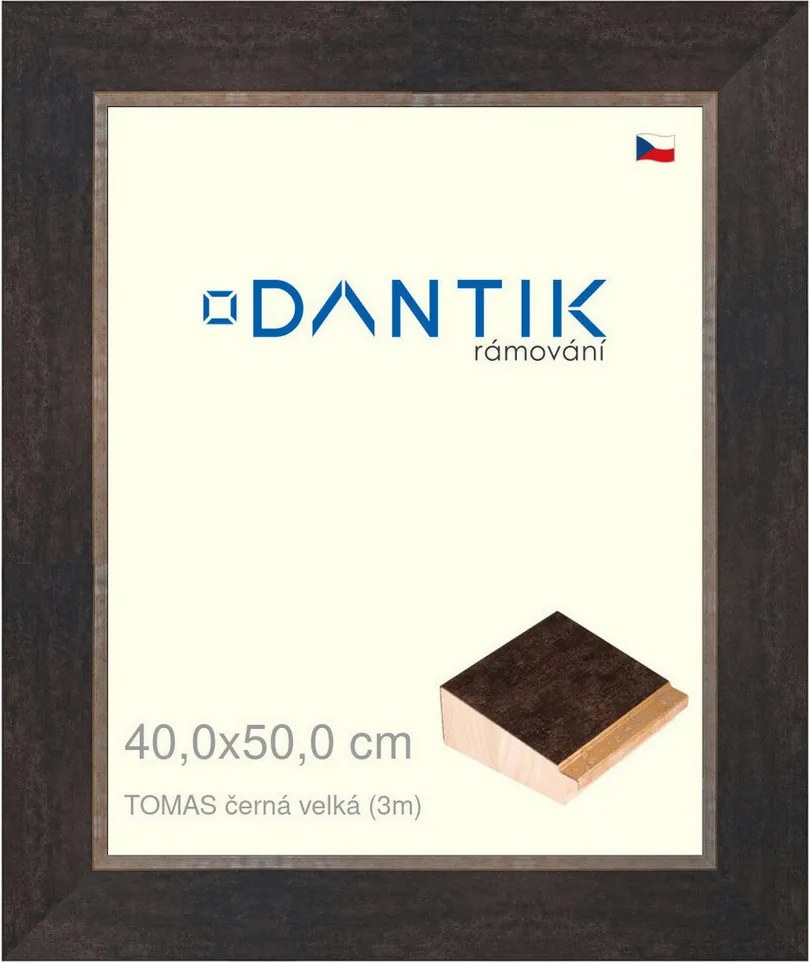 DANTIK rámeček 40x50 | TOMAS černá velká (Sklo Čiré)