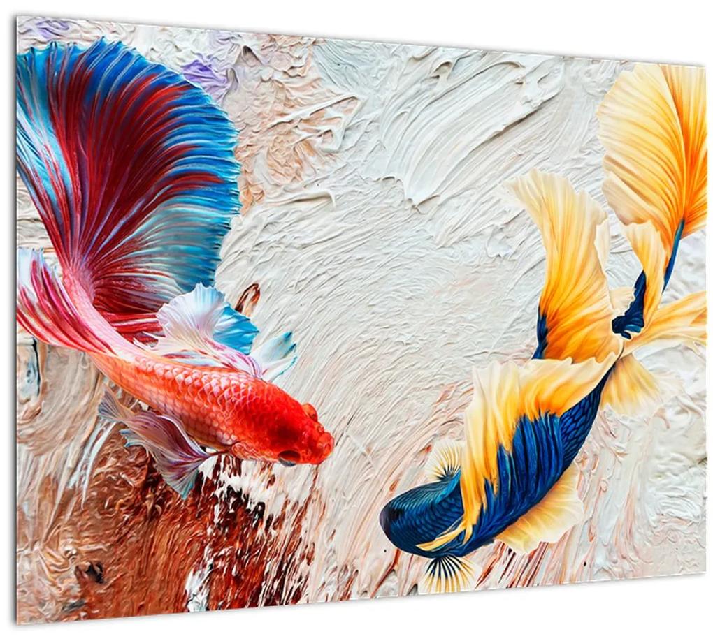 Skleněný obraz - Ryby bojovnice (70x50 cm)