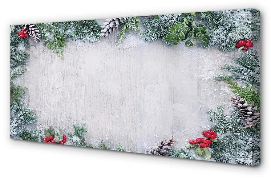 Obrazy na plátně Sněhové šišky, větvičky 120x60 cm