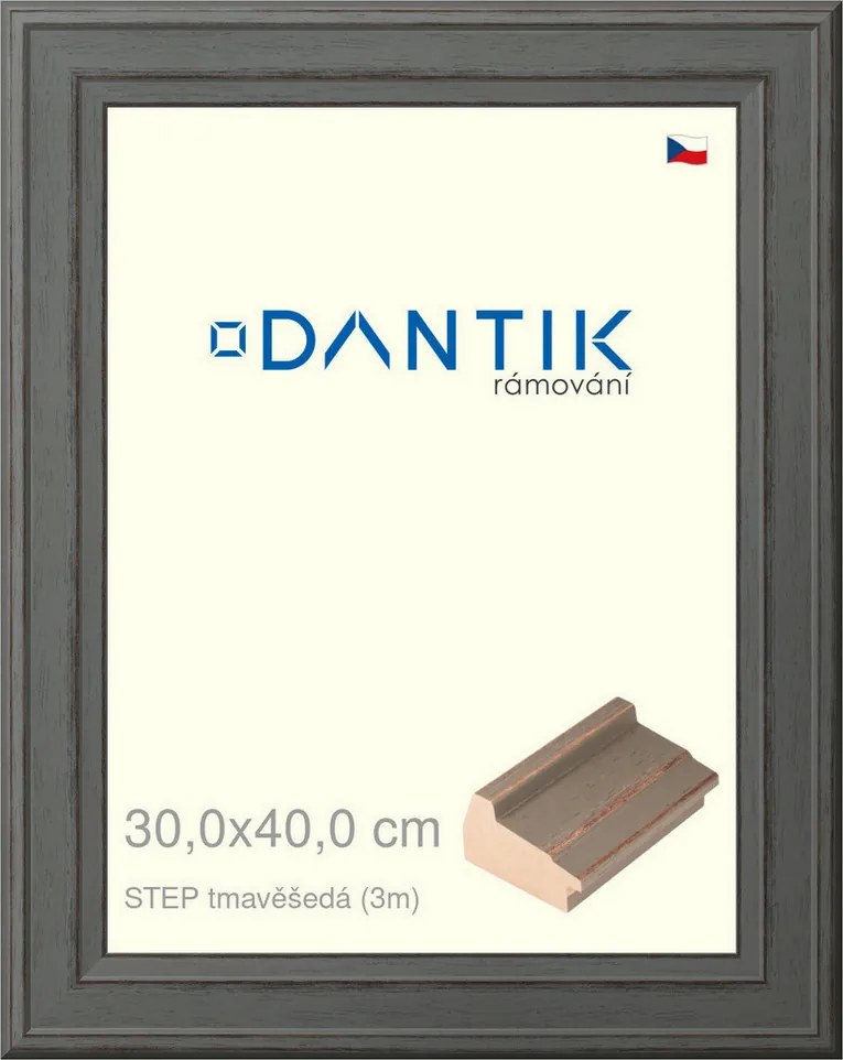 DANTIK rámeček 30x40 | STEP tmavěšedá (Plexi Čiré)