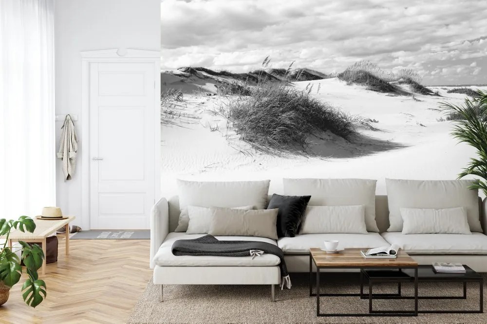 Fototapeta Odpoledne V Dunes Black &amp;amp; White Hladký vinyl 180x120