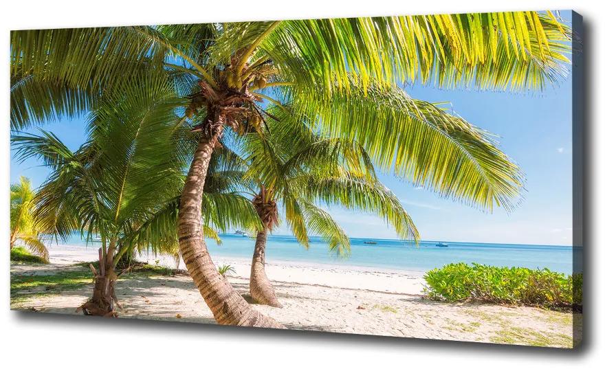 Wallmuralia Foto obraz na plátně do obýváku Tropická pláž 100x50