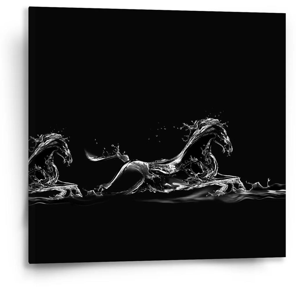 Obraz SABLIO - Vodní kůň 50x50 cm