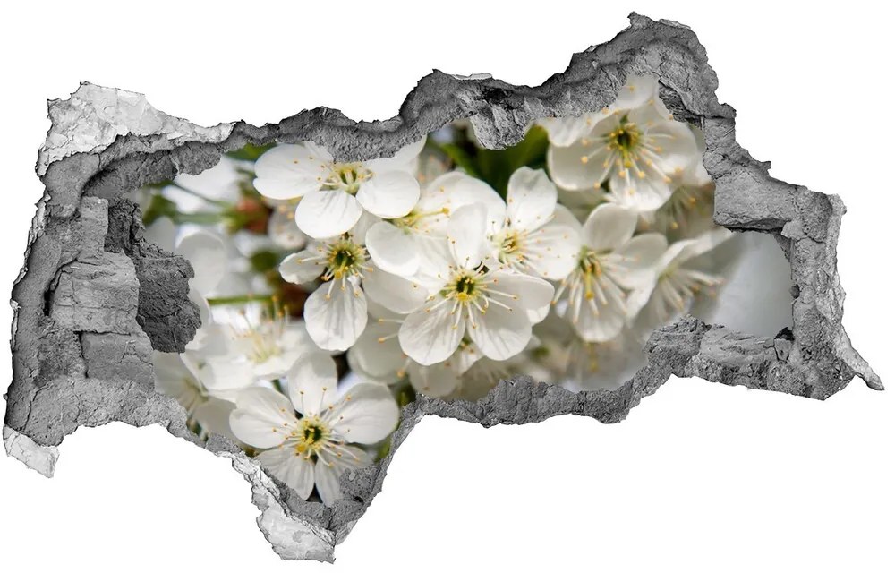 Wallmuralia Samolepící díra nálepka Květy višně 95x73 cm