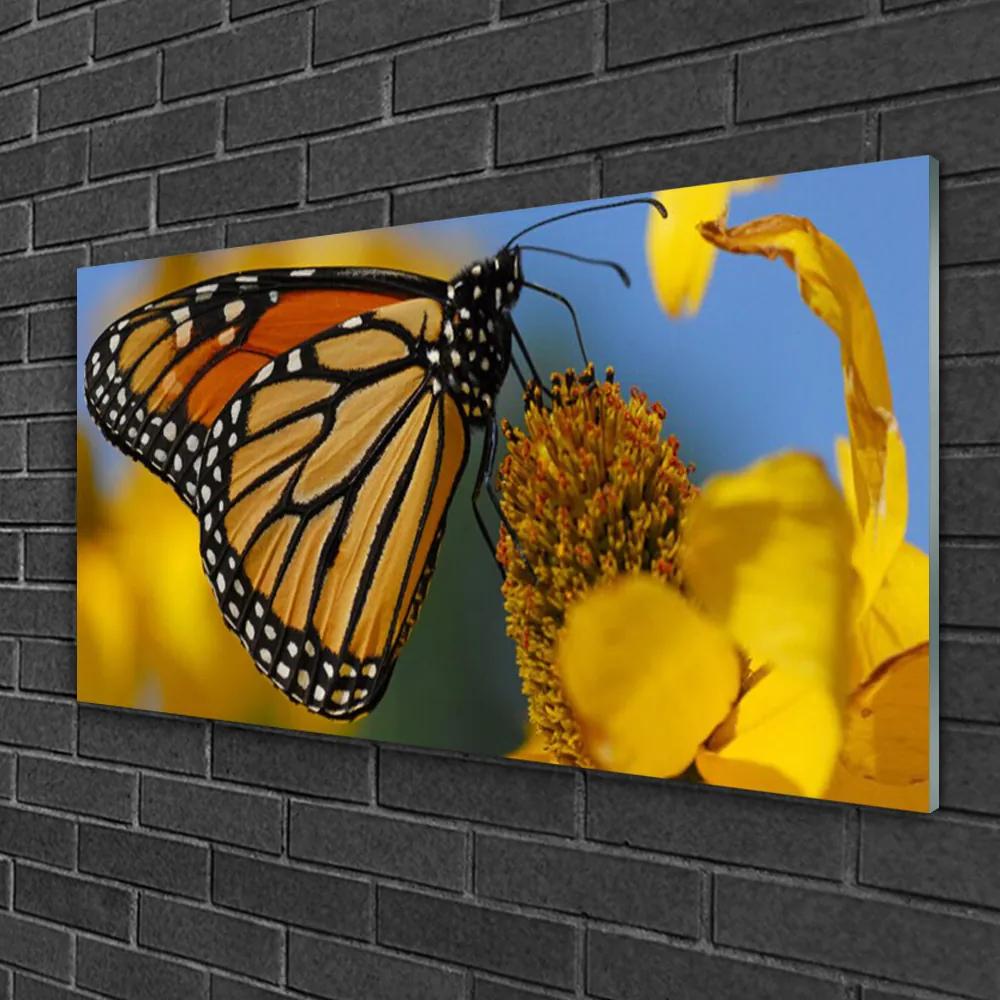 Obraz na skle Motýl Květ Příroda 125x50 cm