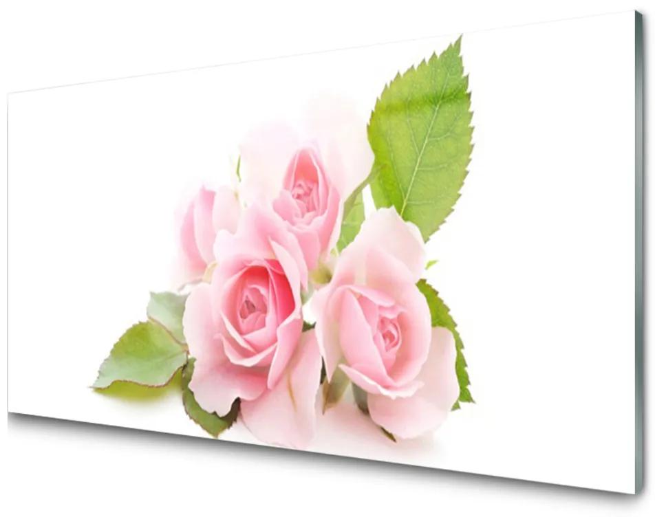 Plexisklo obraz Růže Květiny Příroda