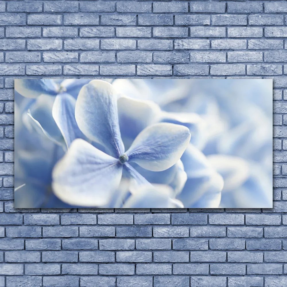 Plexisklo-obraz Květiny Plátky Příroda 120x60 cm