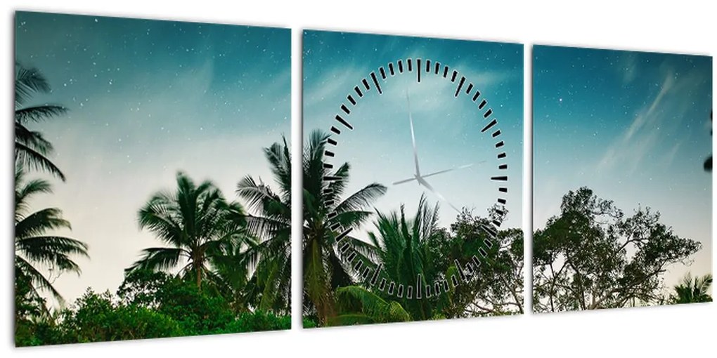 Obraz - palmy (s hodinami) (90x30 cm)