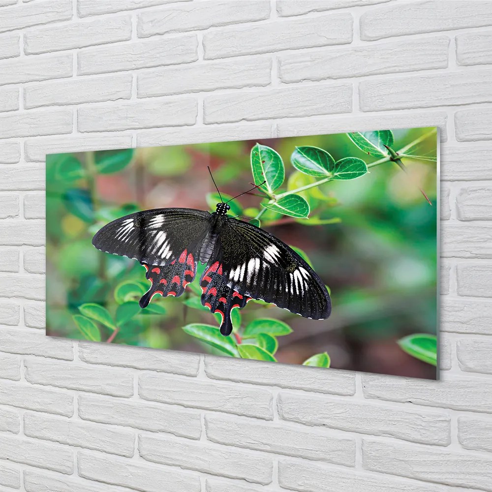 akrylový obraz List barevný motýl 125x50 cm