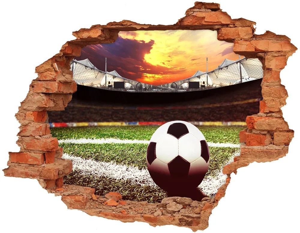 Wallmuralia Fototapeta díra na zeď 3D Míč na stadioně 90x70 cm