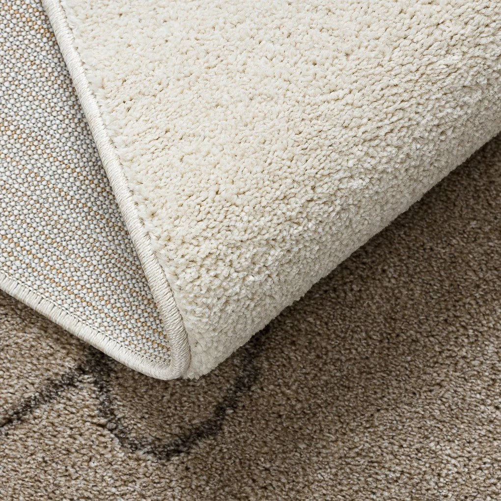 Dywany Łuszczów, Kusový koberec Fusion 8299 cream/beige, 240x330, bílá, kancelář