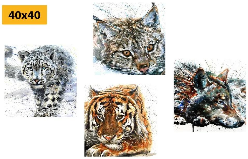 Set obrazů zvířata v nádherném akvarelovém provedení - 4x 40x40 cm